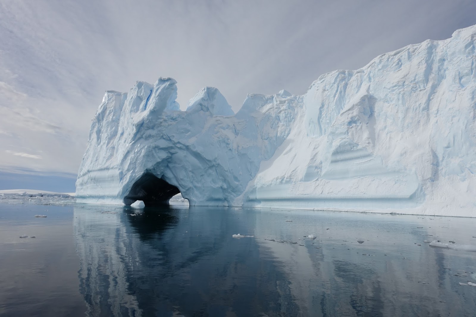 The Gray Report: January 2016