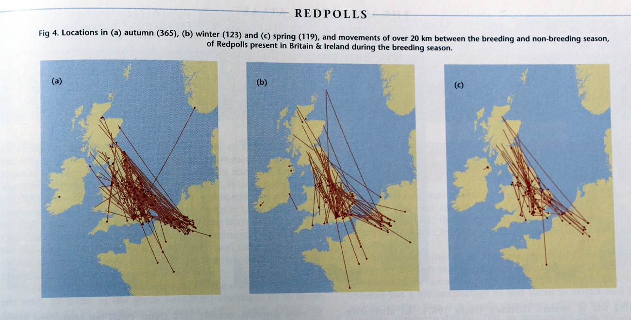 Another Bird Blog: Tuesday Time