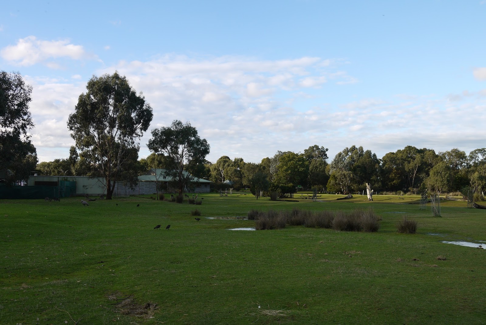 Andrea: A visit to Moonlit Sanctuary Wildlife Conservation Park ...