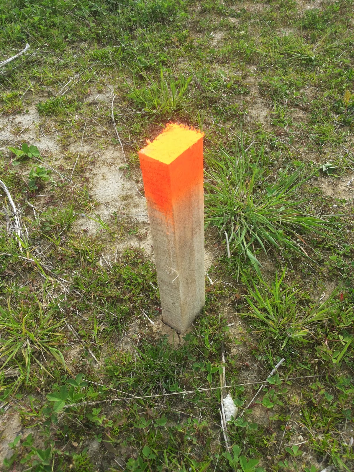 Eine Stadtvilla für Familie K.: Ein Pflock, noch ein Pflock, noch ein ...