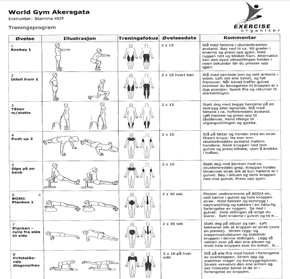 Bærum SK G01/02 - Utvikling: Egentrening