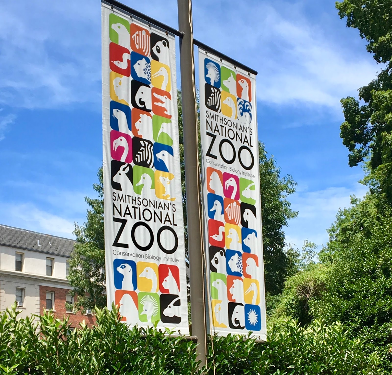 The Gluten & Dairy-Free Review Blog: Gluten-Free Options at the ...