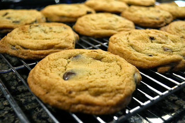 The No Pressure Cooker: Dark Chocolate Pecan Cookies