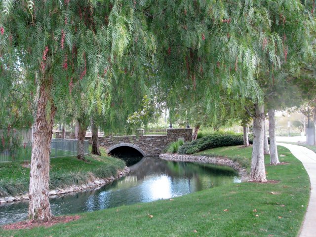 THE VIEW FROM MY CAMERA: A Bridge In Bridgeport Valencia, CA