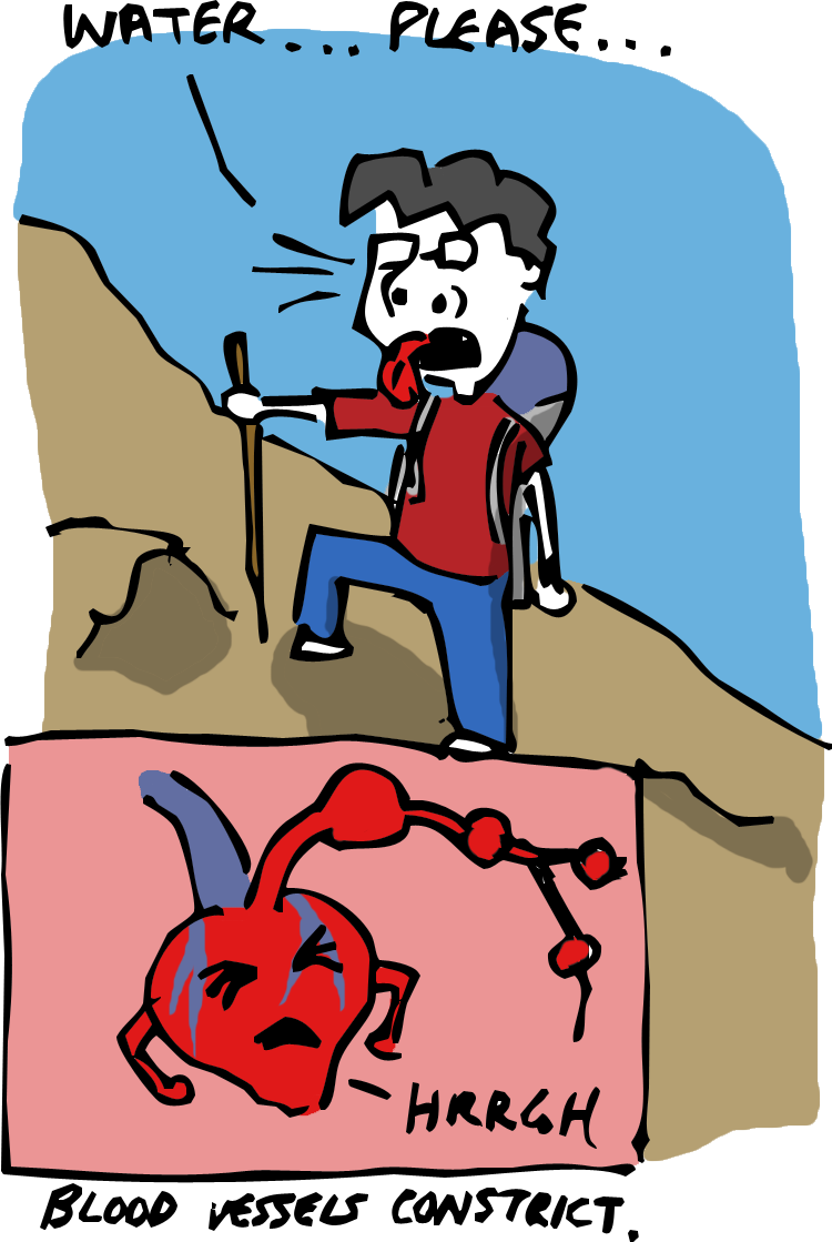 Sketchy Science: Altitude Sickness: How mountains tell you they don’t ...