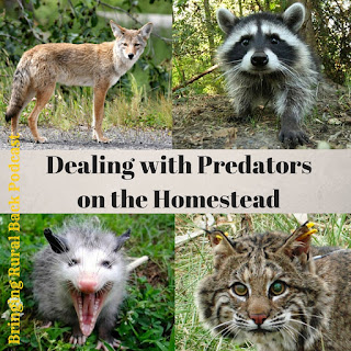 The Rural Economist & Bringing Rural Back Podcast: Dealing with ...