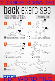 Workout: Back Exercises