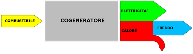 Sunflower Hcpv: 2013-09-15
