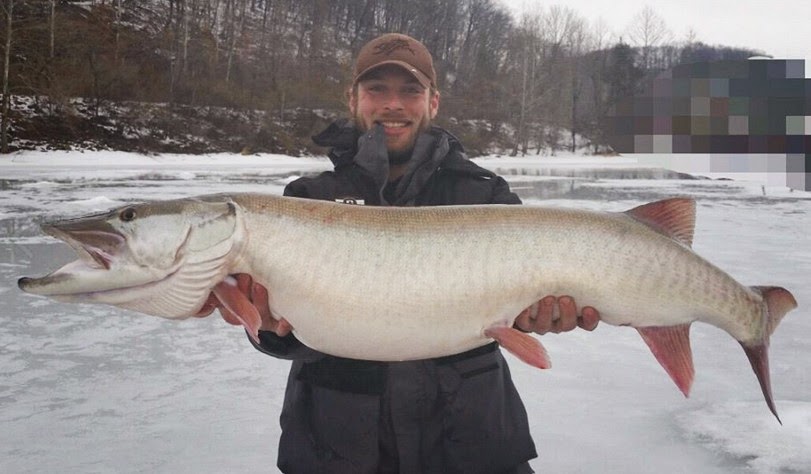 International Fishing News: US: monster size muskie caught while ice ...