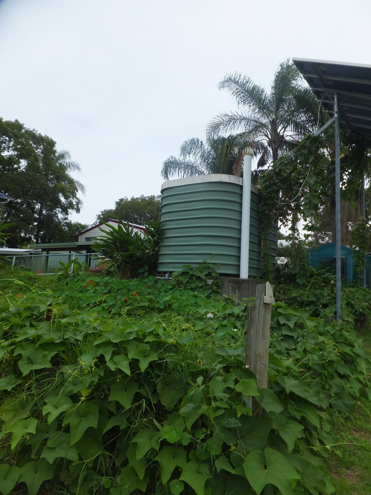 The Next Stage: Beelarong Community Farm...