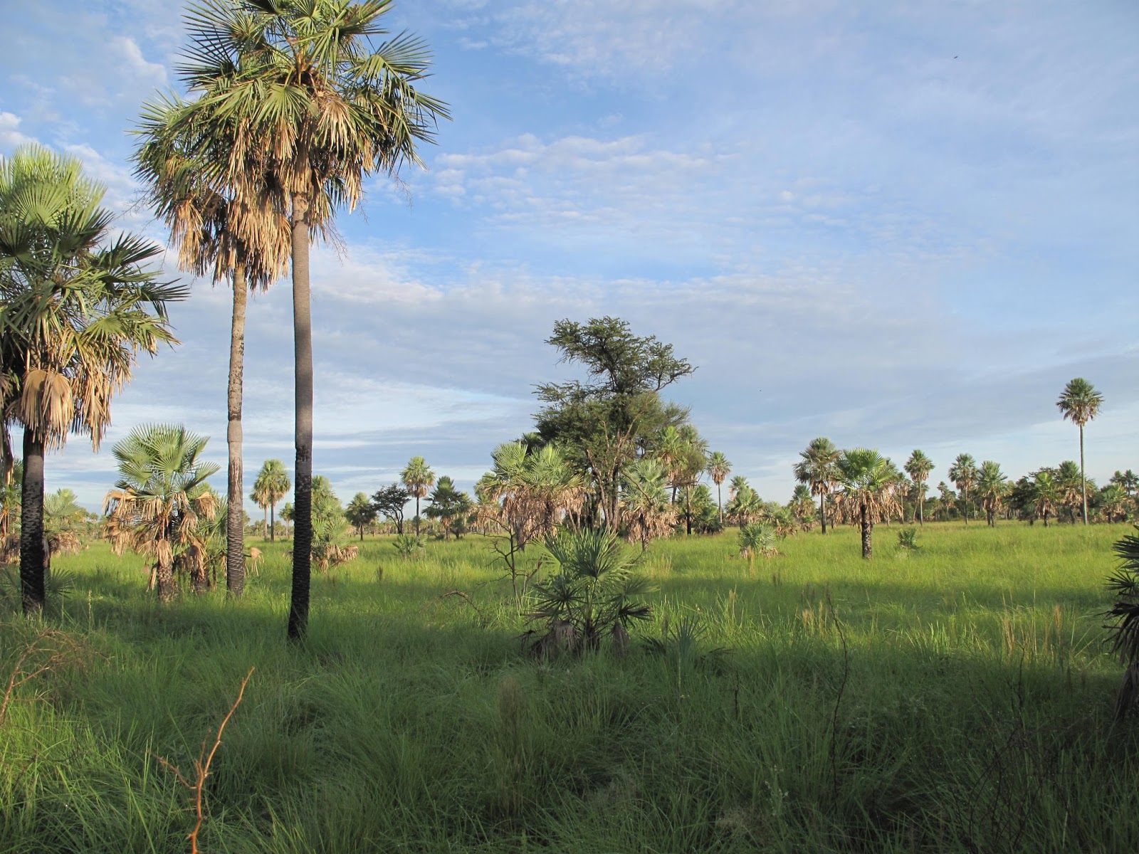 "Explorando Horizontes: Turismo Global y Perspectivas Locales en ...