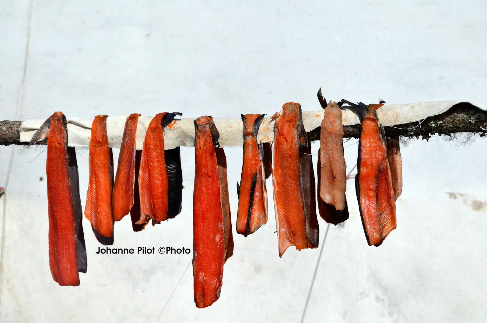 Le regard d'une Photographe Innue: Innu-Mitshim - Les mets traditionels ...