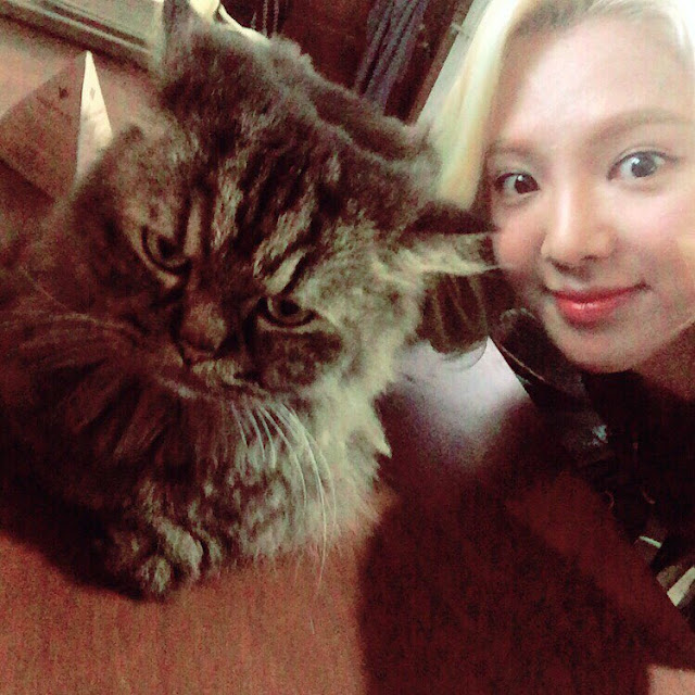 SNSD's HyoYeon and more of her gorgeous updates - Wonderful Generation