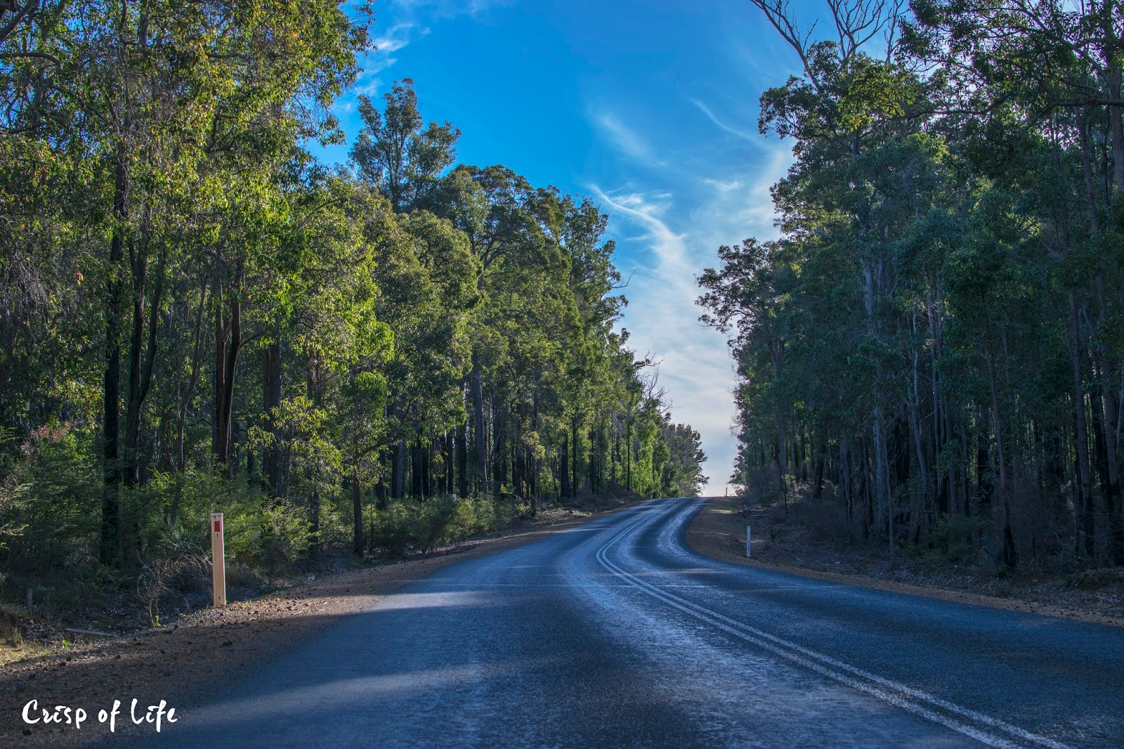 Western Australia Day 3 - Bunbury Wildlife Park, Ferguson Valley (Moody ...