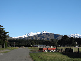 Ward School: August 2013