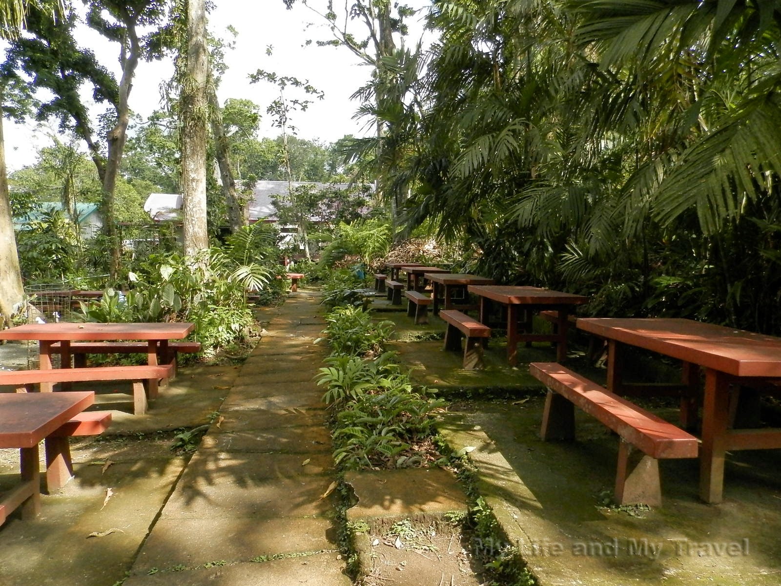 My Life and My Travel: Makiling Botanic Garden