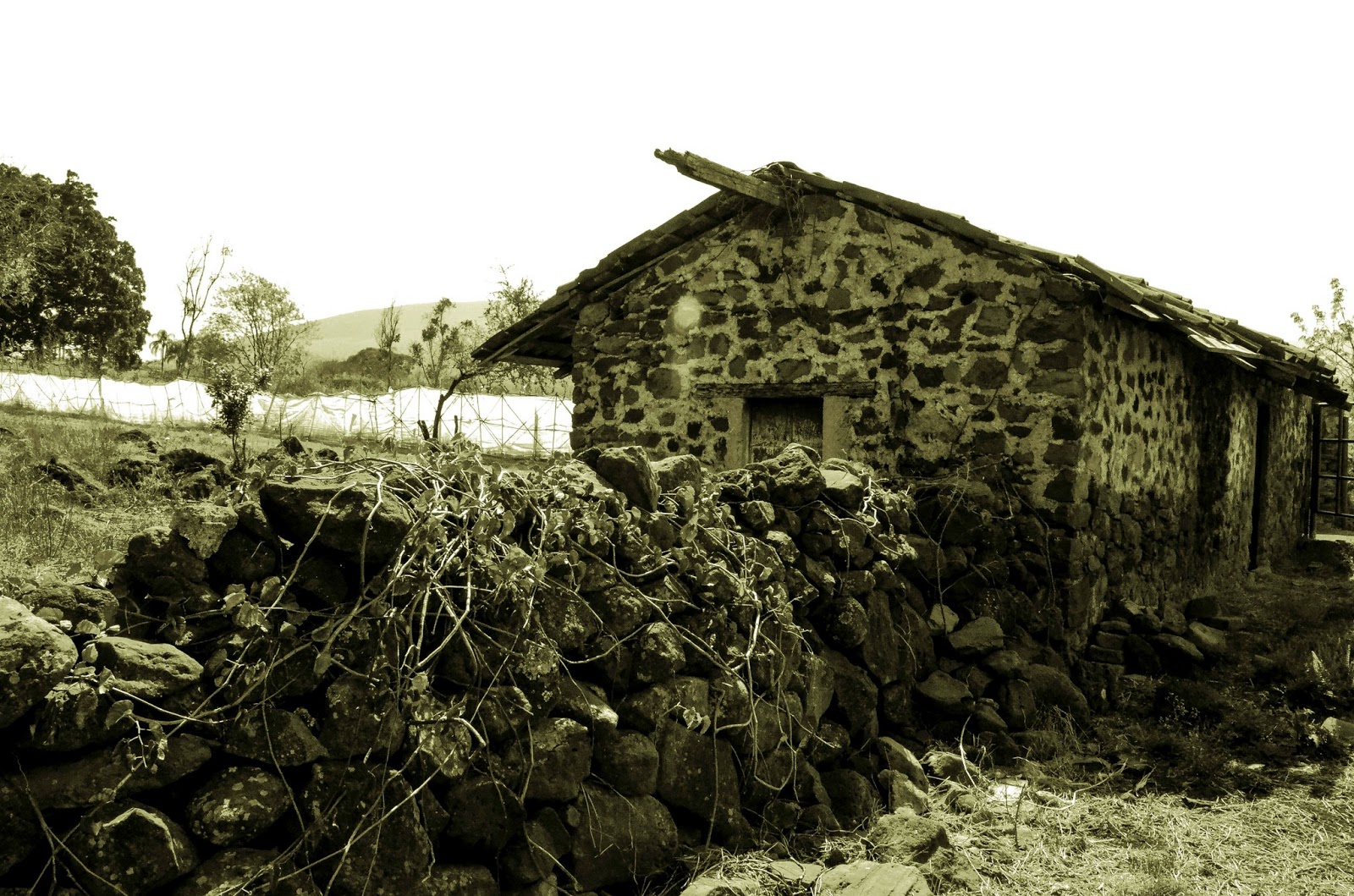 Jaime Ramos Méndez: Antigua finca rural en Jacona, Michoacán ...