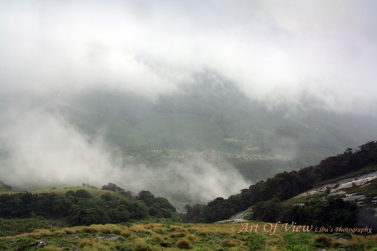 Raja Mala ( Eravikulam National Park) | Art Of View