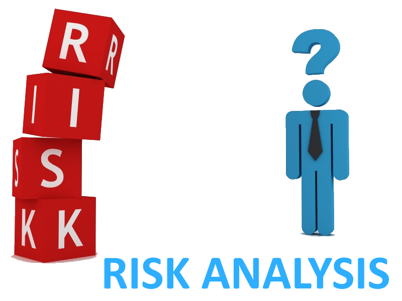 Custom Software Development: Risk Analysis
