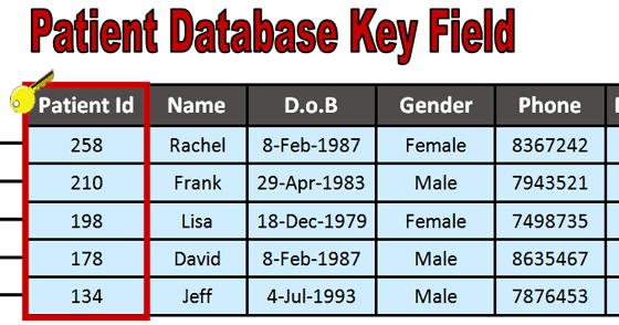G8-Chapter2: Keys and relationships