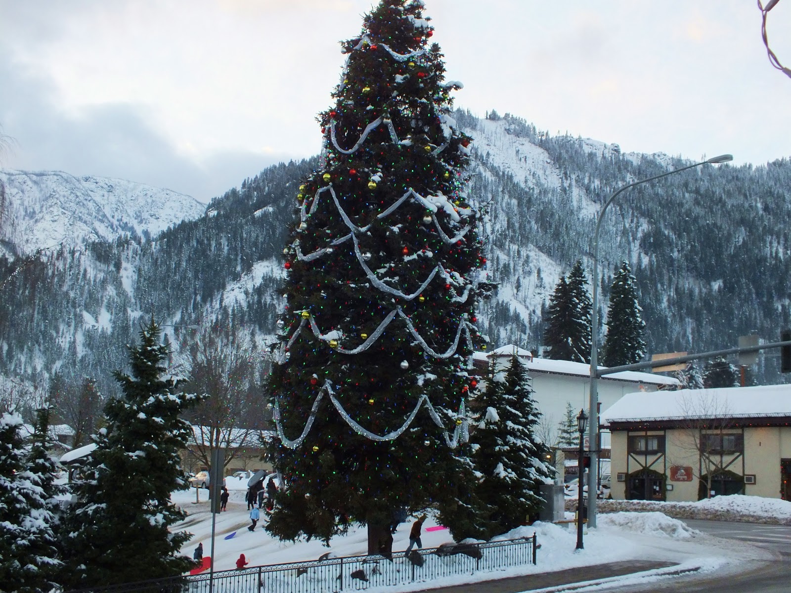 Connie's Spot© Crocheting, Crafting, Creating!: Christmas in ...