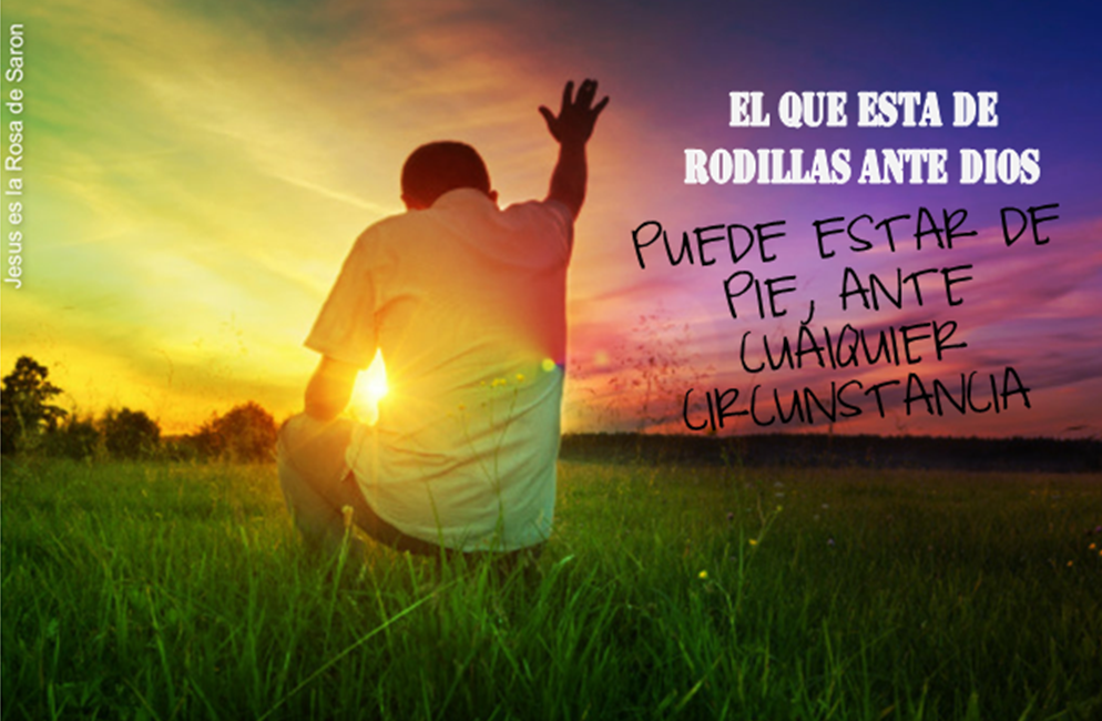 El que esta de RODILLAS ante DIOS puede estar de PIE ante cualquier ...