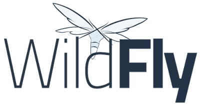 WildFly Server - TechDoko