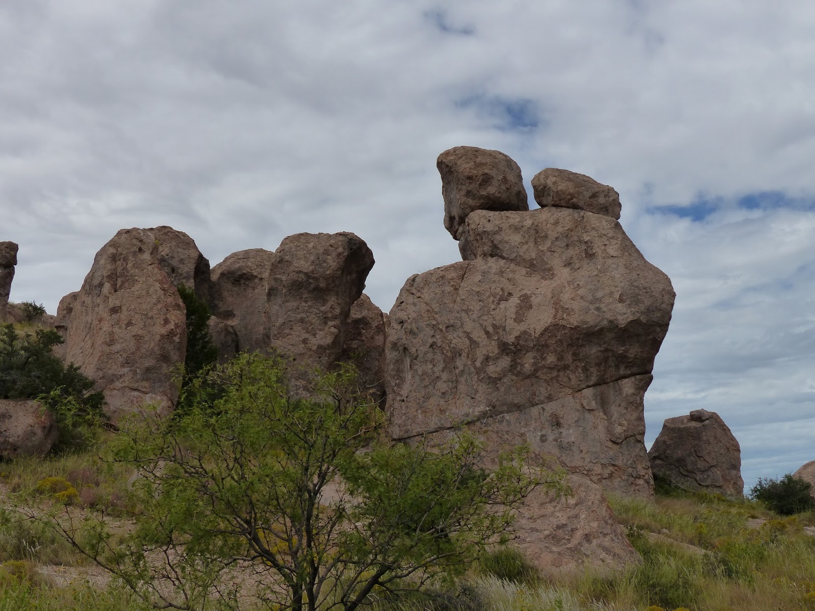 Land Cruising Adventure: City of Rocks State Park | New Mexico