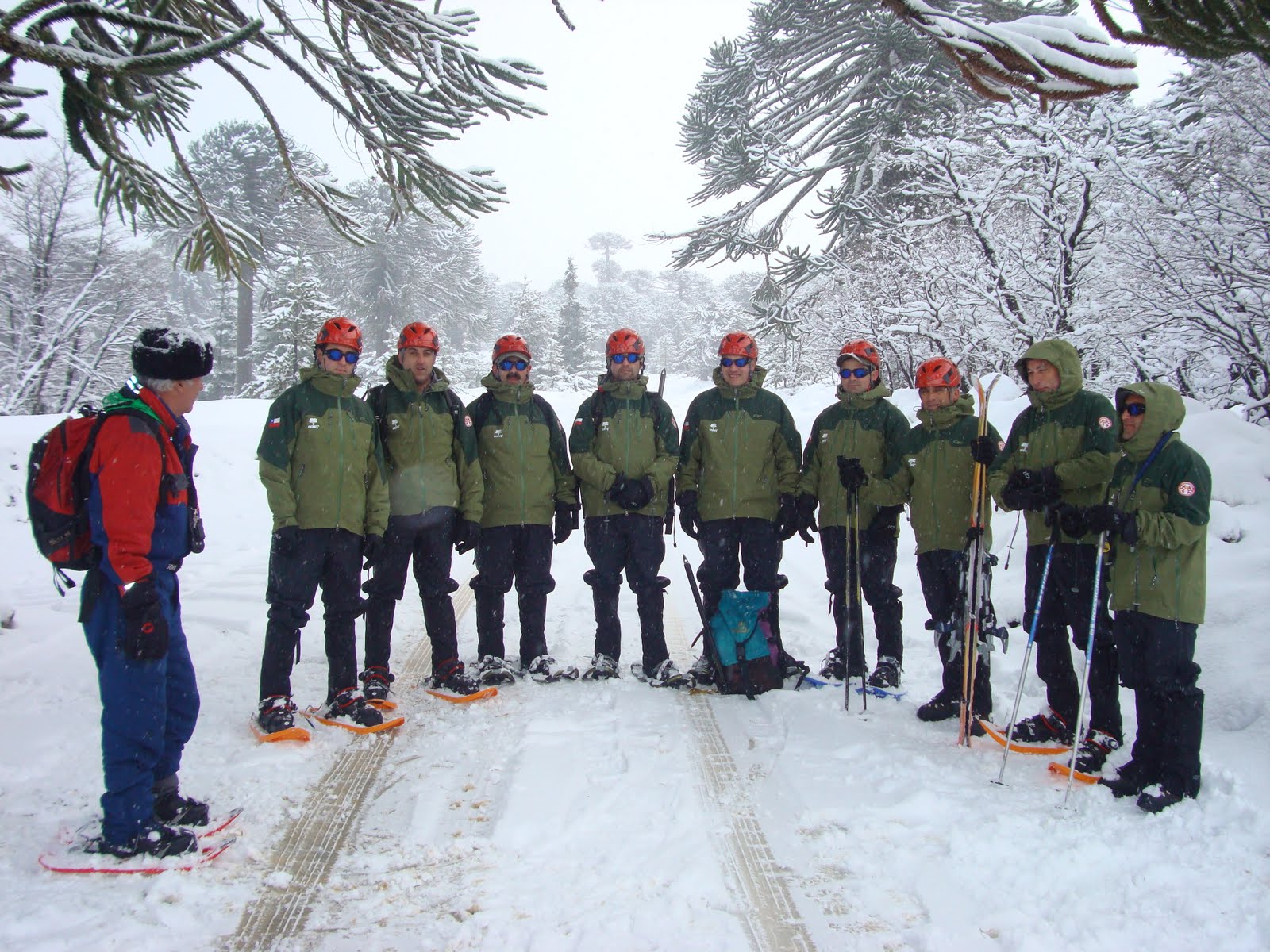 PARQUES DE LA IX REGIÓN DE LA ARAUCANIA - CONAF - CHILE - 2015: CONAF ...