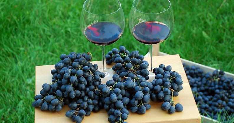 Melvin Daniel Quispe Luizaga: imagen elaboración del vino