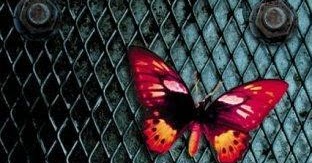 The Once Lost Wanderer: Papillon by Henri Charriére (novel #123)