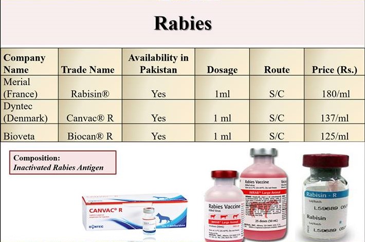 Vet in Pakistan: Availability of Rabies vaccines in Pakistan