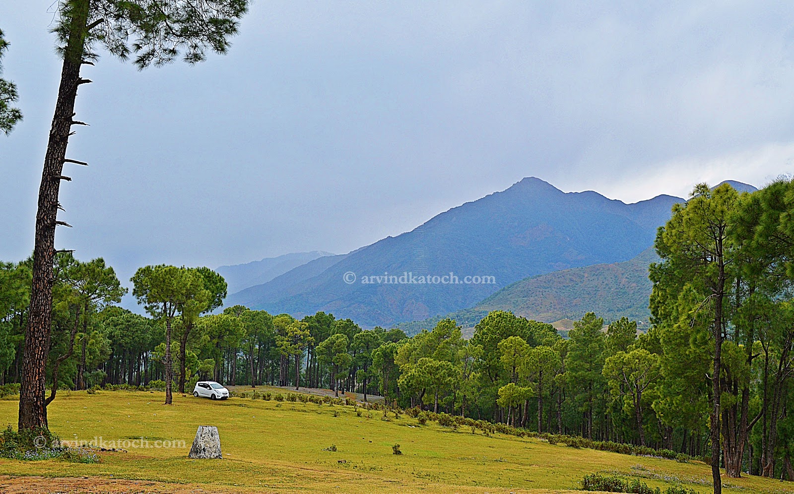 HD Picture (Wallpaper) of Beautiful Kangra (Himachal Pradesh) Near GopalPur