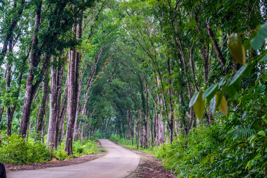 Lianga Launches Tourism Master Plan - Escape Manila