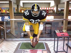New @ MPL: The Immaculate Reception at 40