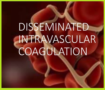 Nursing Diagnosis Central: Nursing FOR Disseminated Intravascular ...