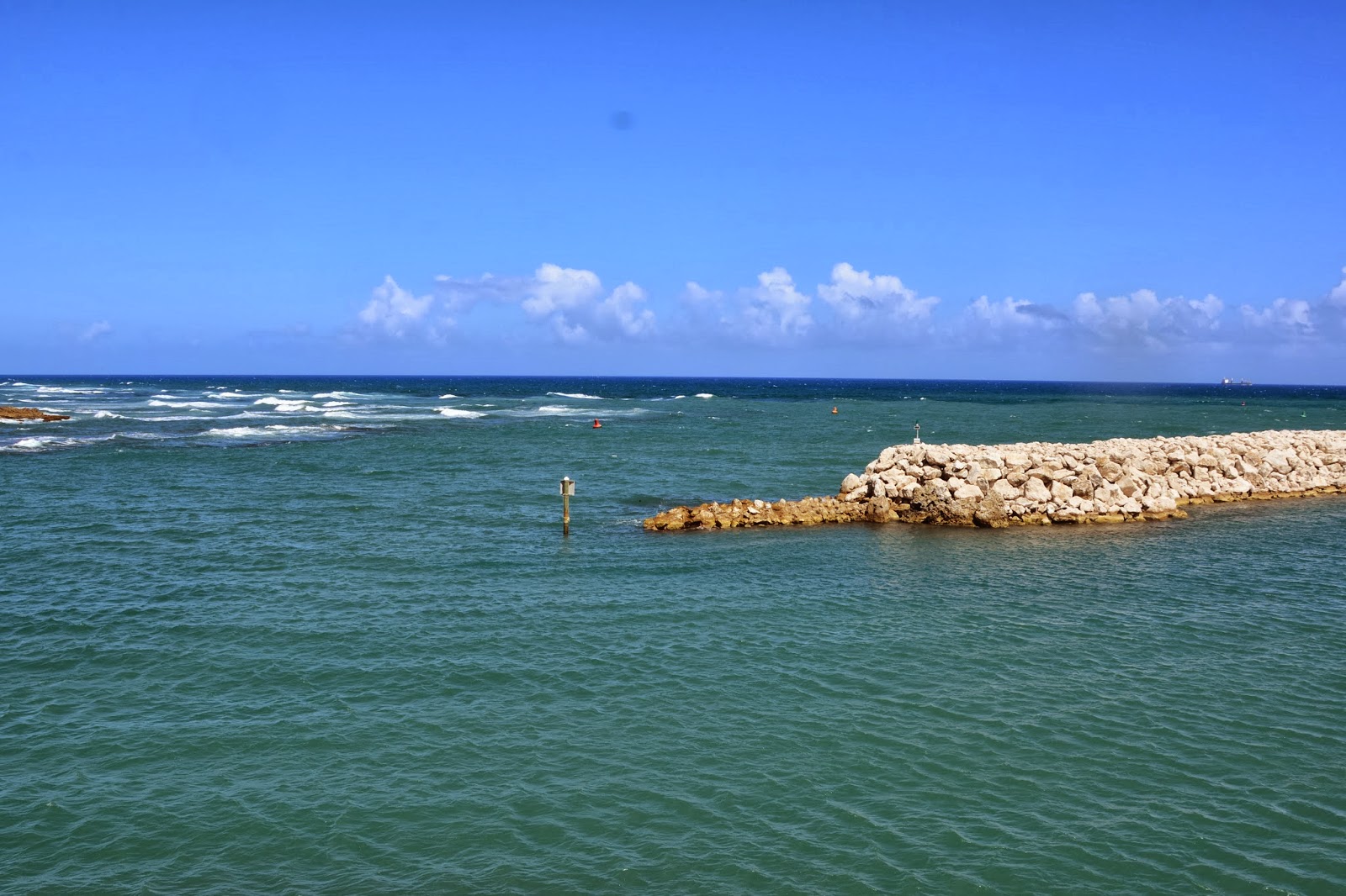 WTFR WE? : Ocean World Dominican Republic