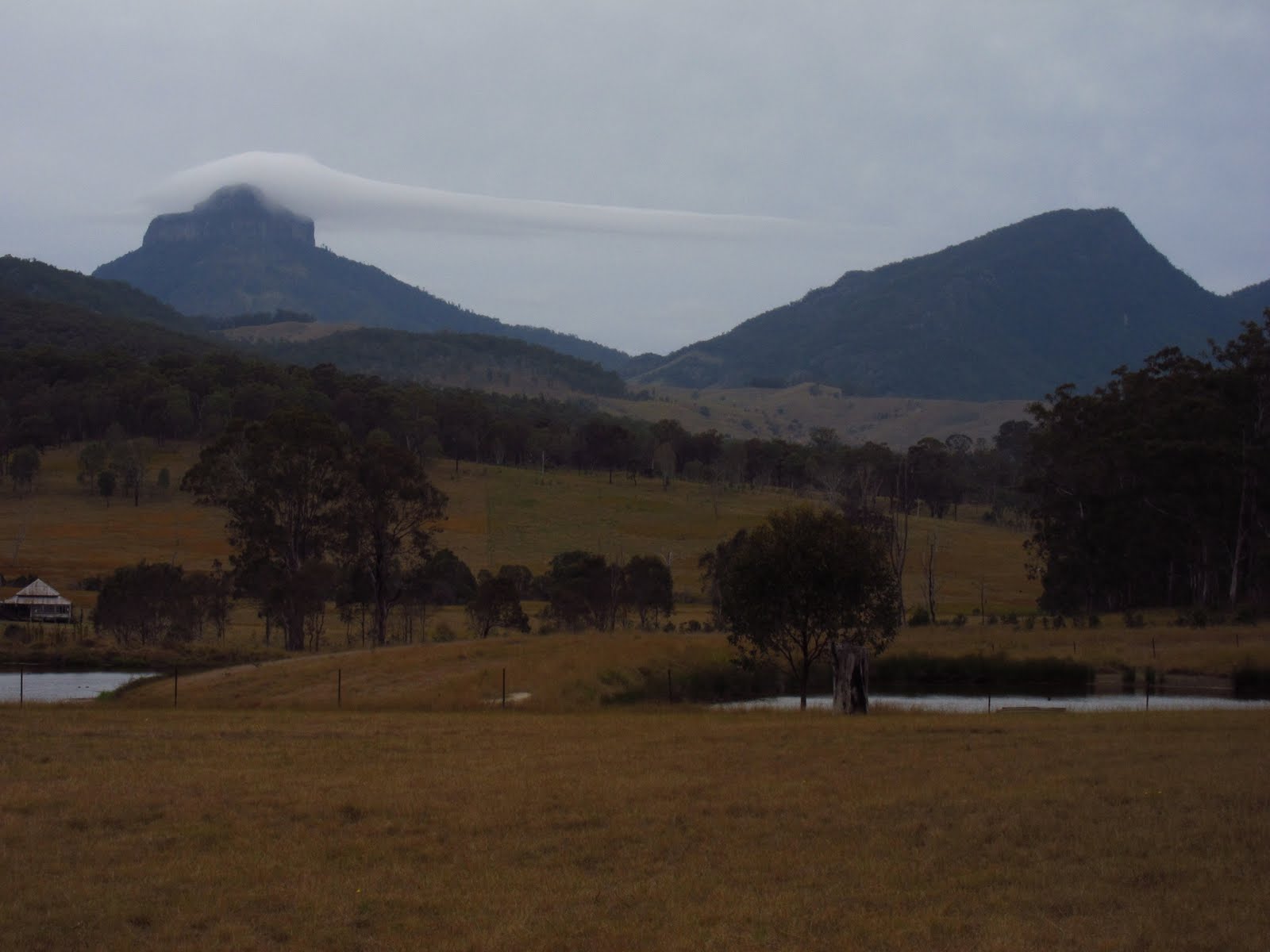 Hiking in S.E. Queensland: Main Range, Mt. Lindsay and Wild Oasis