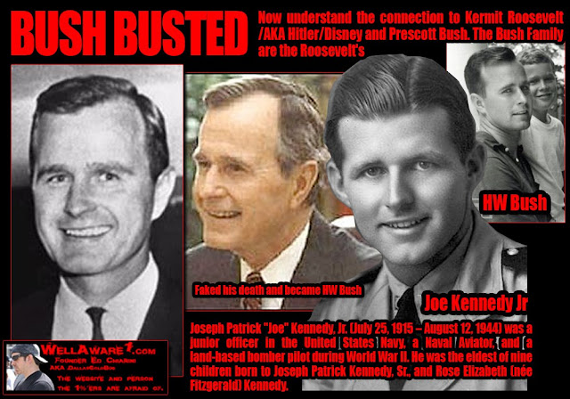 Political Gossip - Lyndon B Johnson tea | Page 7 | Lipstick Alley