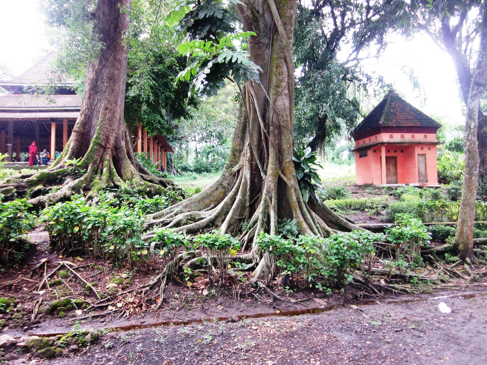 jombang city guide: Sendang Made : Petilasan Prabu Airlangga ...