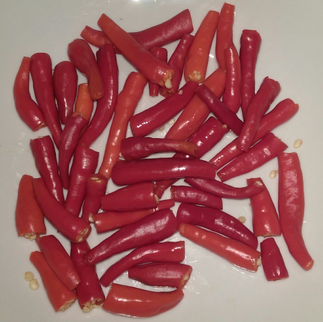 Cayenne Chili sous | Puth Bros