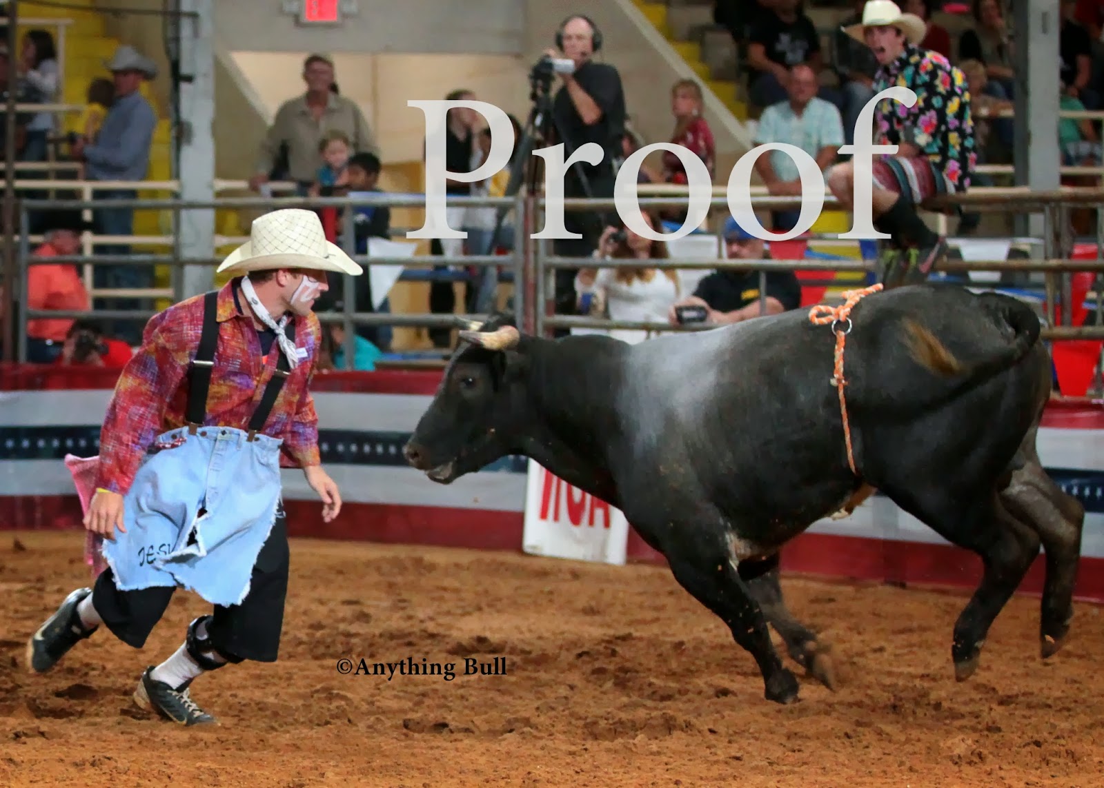 Anything Bull or Rusty: Chuck Swisher-2nd steer Friday night