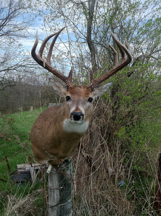 Bones n' Broadheads: Interview Series - Rick Whitaker