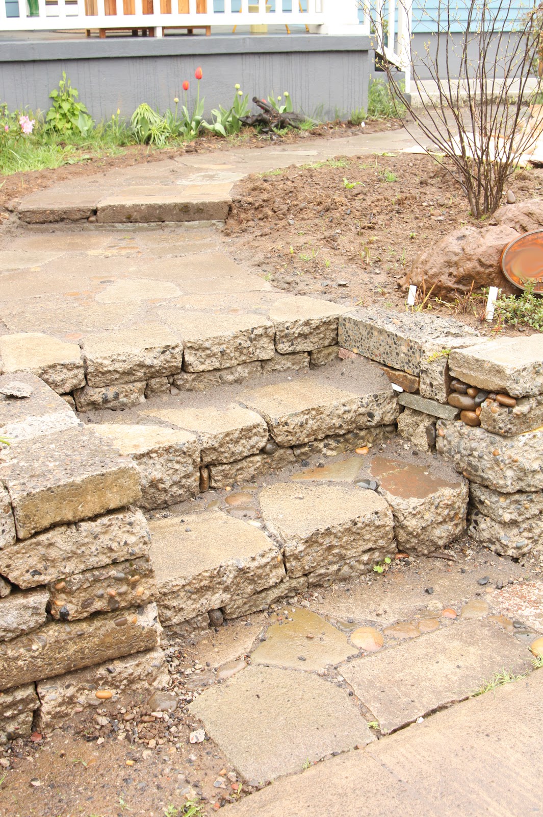 In My Vegan Garden: Urbanite in the Garden