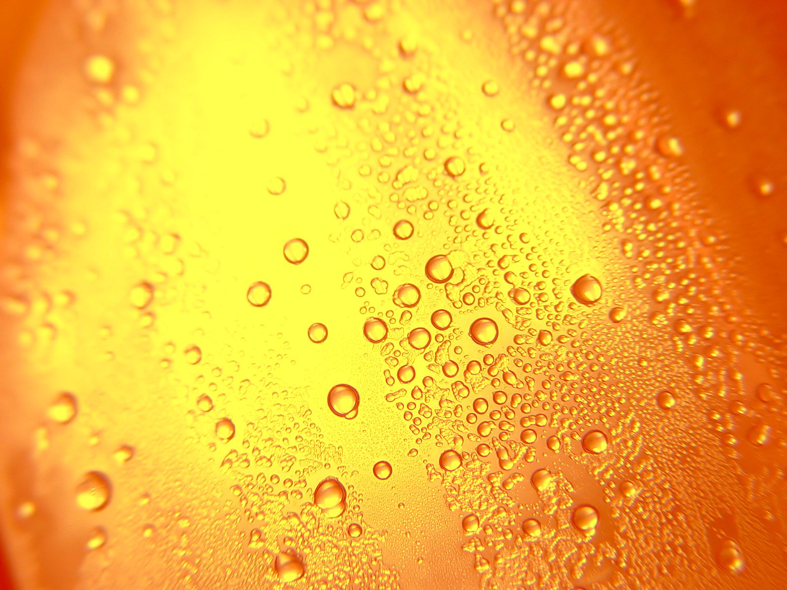 Anaranjado wallpapers