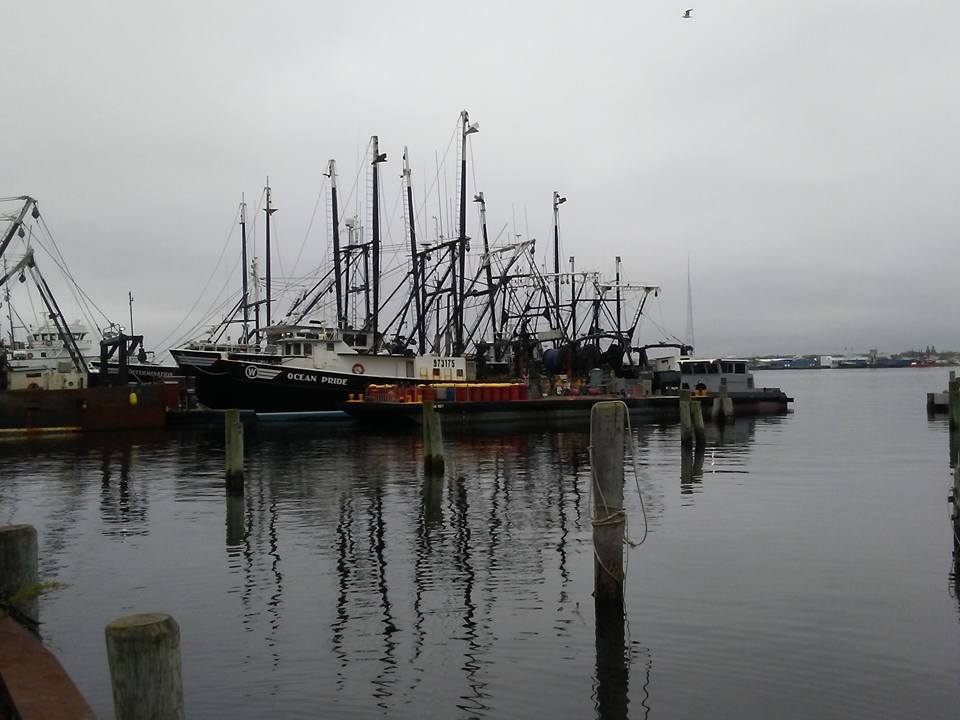 Cranberry County Online: Harboring: Fairhaven