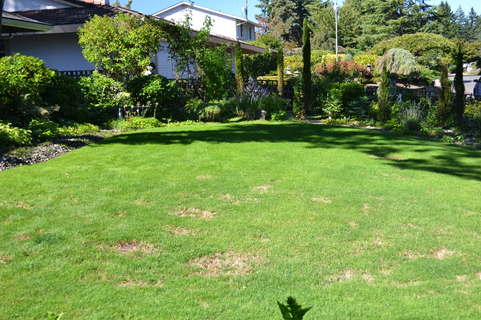 The Outlaw Gardener: The Garden of Bill & Cheri Hansen