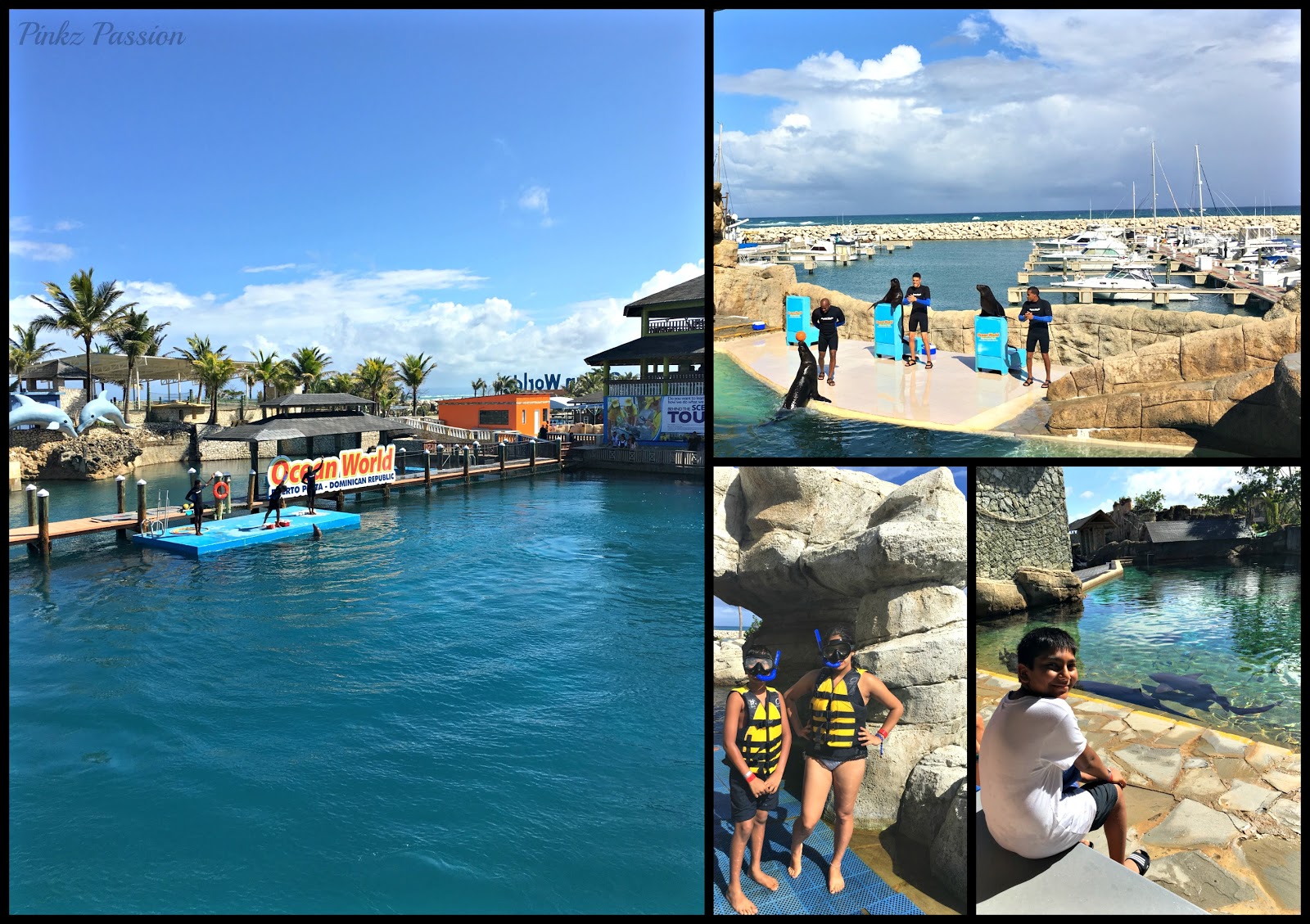 Winter escape to the amber coast - Puerta Plata - Mix Celebrities