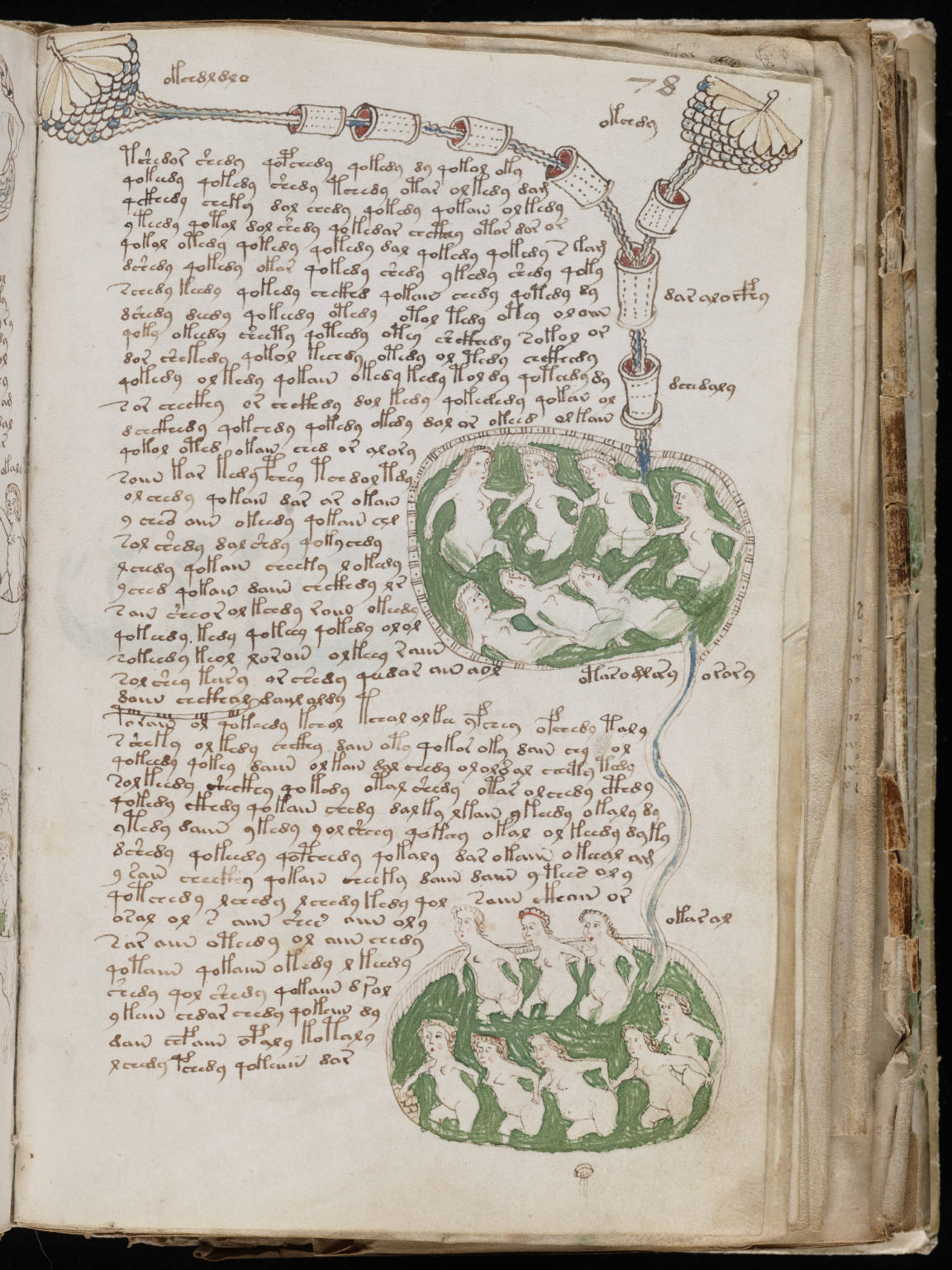 an unperfect: The Voynich Manuscript