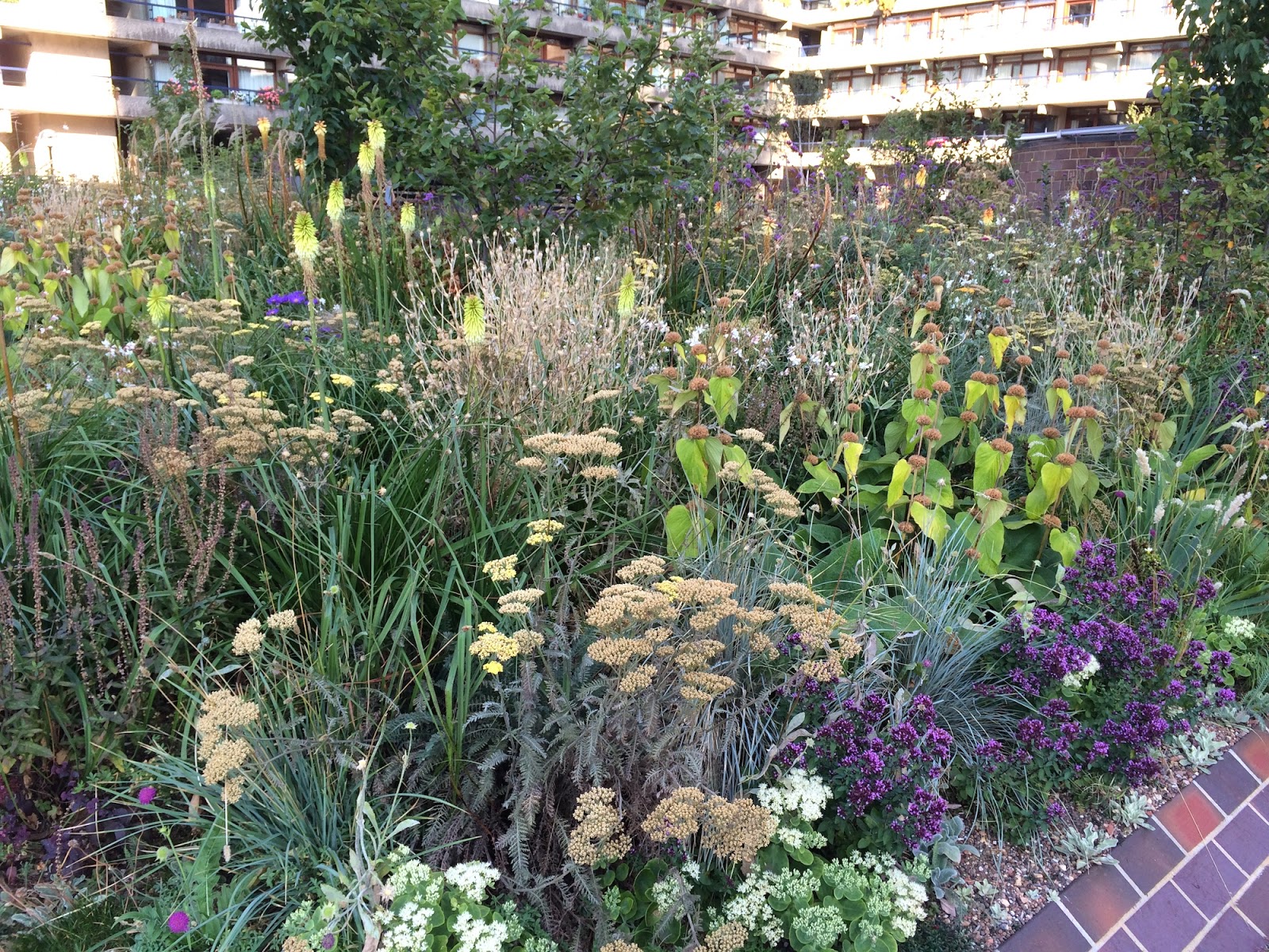 Noel's Garden Blog: Ecological Planting - The revolution will never be ...